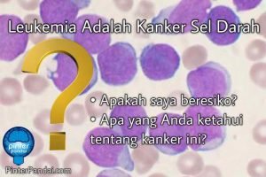 Kanker Darah Leukemia - Gejala, Perawatan, Penyebab, Pencegahan