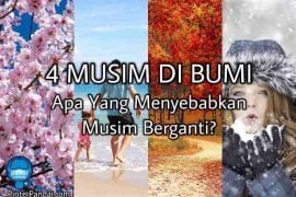 Karakteristik 4 Musim Di Bumi - Apa Yang Menyebabkan Musim Berganti?