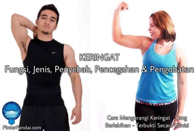 Kelenjar Keringat | Tubuh Manusia Mempunyai 2 Juta Kelenjar Keringat