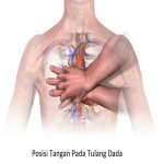 Cara Melakukan CPR - Resusitasi Jantung, Dewasa, Anak, Bayi