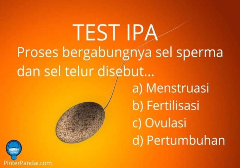 Tes IPA: Proses bergabungnya sel sperma dan sel telur disebut...