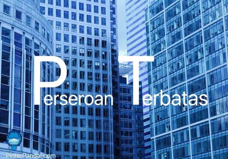 Pengertian, Contoh Dan Syarat Pendirian PT Perseroan Terbatas