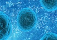Stem Cell - Sel Punca - Regenerasi Sel, Pengertian, Manfaat Pengobatan