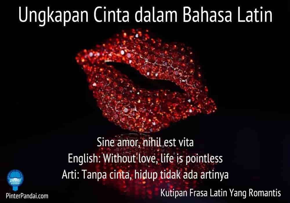 Ungkapan Cinta dalam Bahasa Latin - Kutipan Frasa Latin Romantis