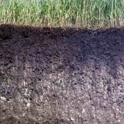 Tanah Mollisol - Penjelasan, Karakteristik dan Contoh - PINTERpandai