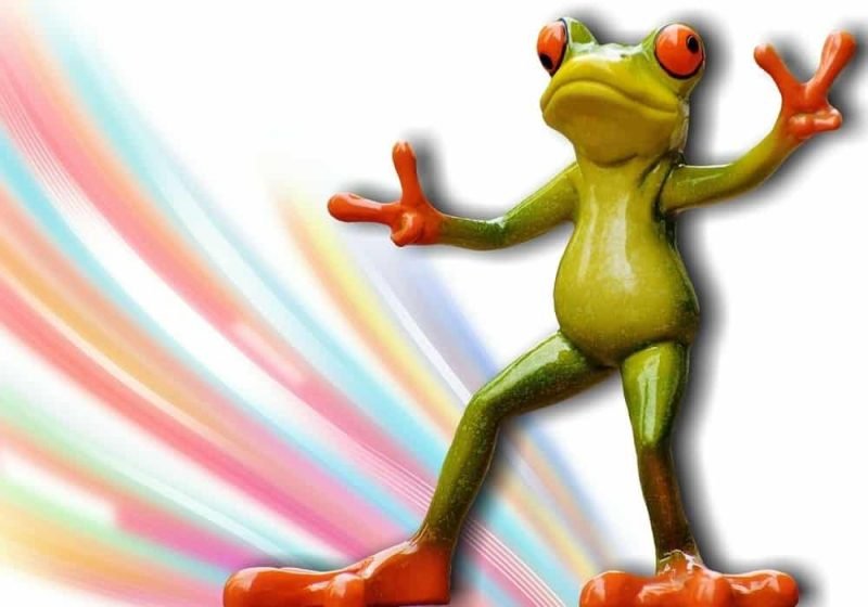 Ranidaphobia Takut Katak | Fobia Katak - Penyebab, Gejala, Obat