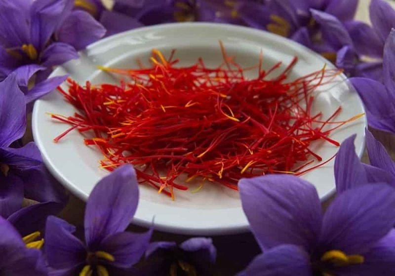Manfaat Safron Untuk Kecantikan - Bahan Alami Memerangi Pigmentasi