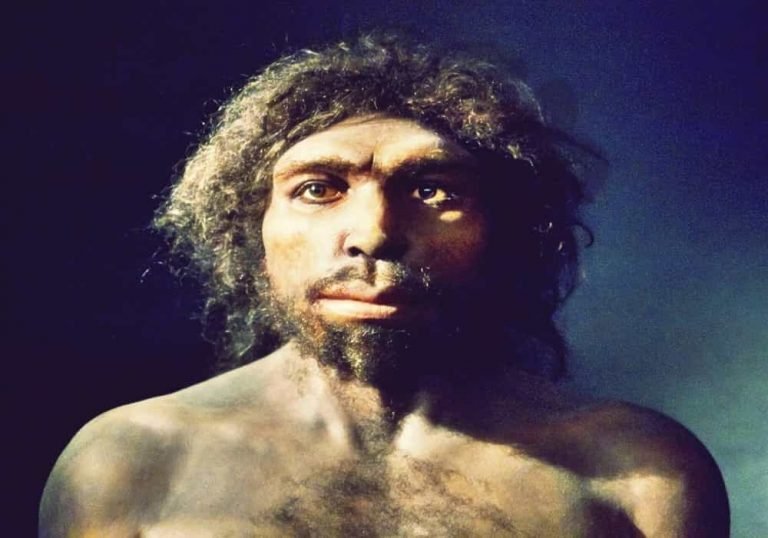 Homo Antecessor – Manusia Purba – Ciri-Ciri dan Penjelasan