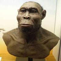 Homo Rudolfensis - Manusia Purba - Ciri-Ciri dan Penjelasan