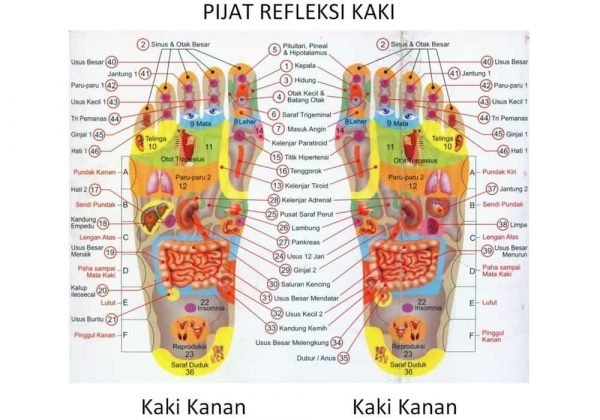 Pijat Refleksi Kaki, Tangan dan Telinga | Titik Pijat dan Manfaatnya
